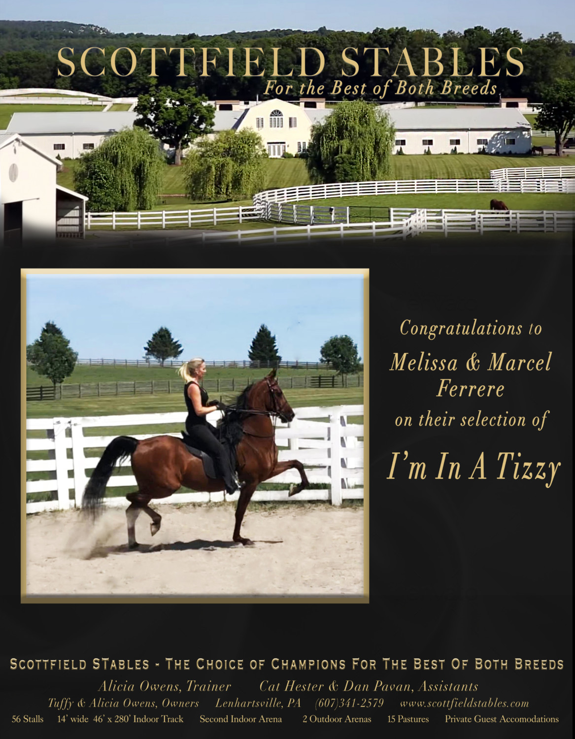 Scottfield Stables welcomes new families and new horses to the herd ...